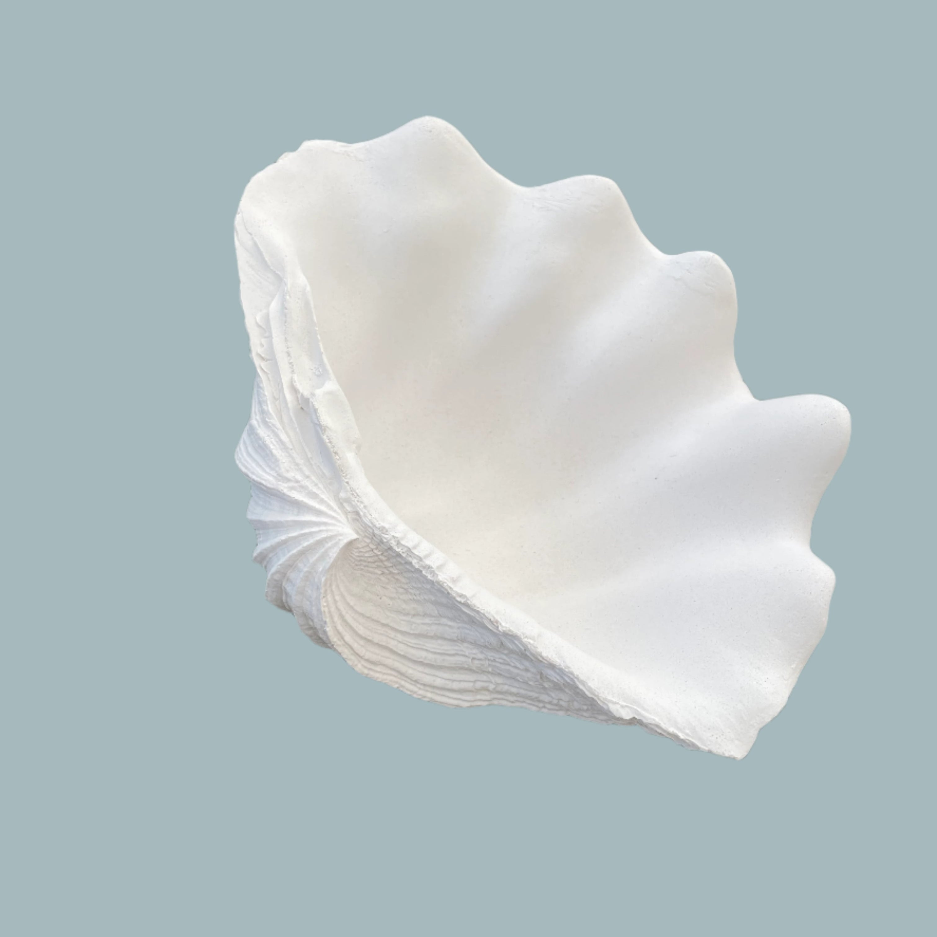 Resin Clam Bowl – The Boathouse Home